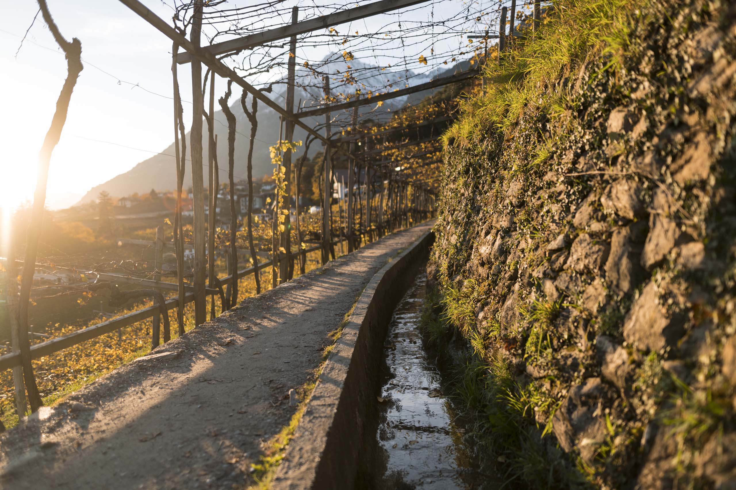 Waalwege in Südtirol